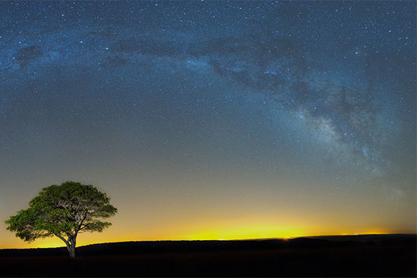 Grit and the impact of fear - The Positive Psychology People