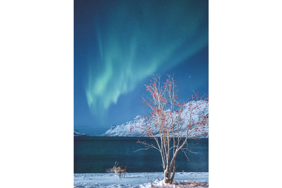 At The Heart Of Winter The Promise Of Spring - The Positive Psychology ...